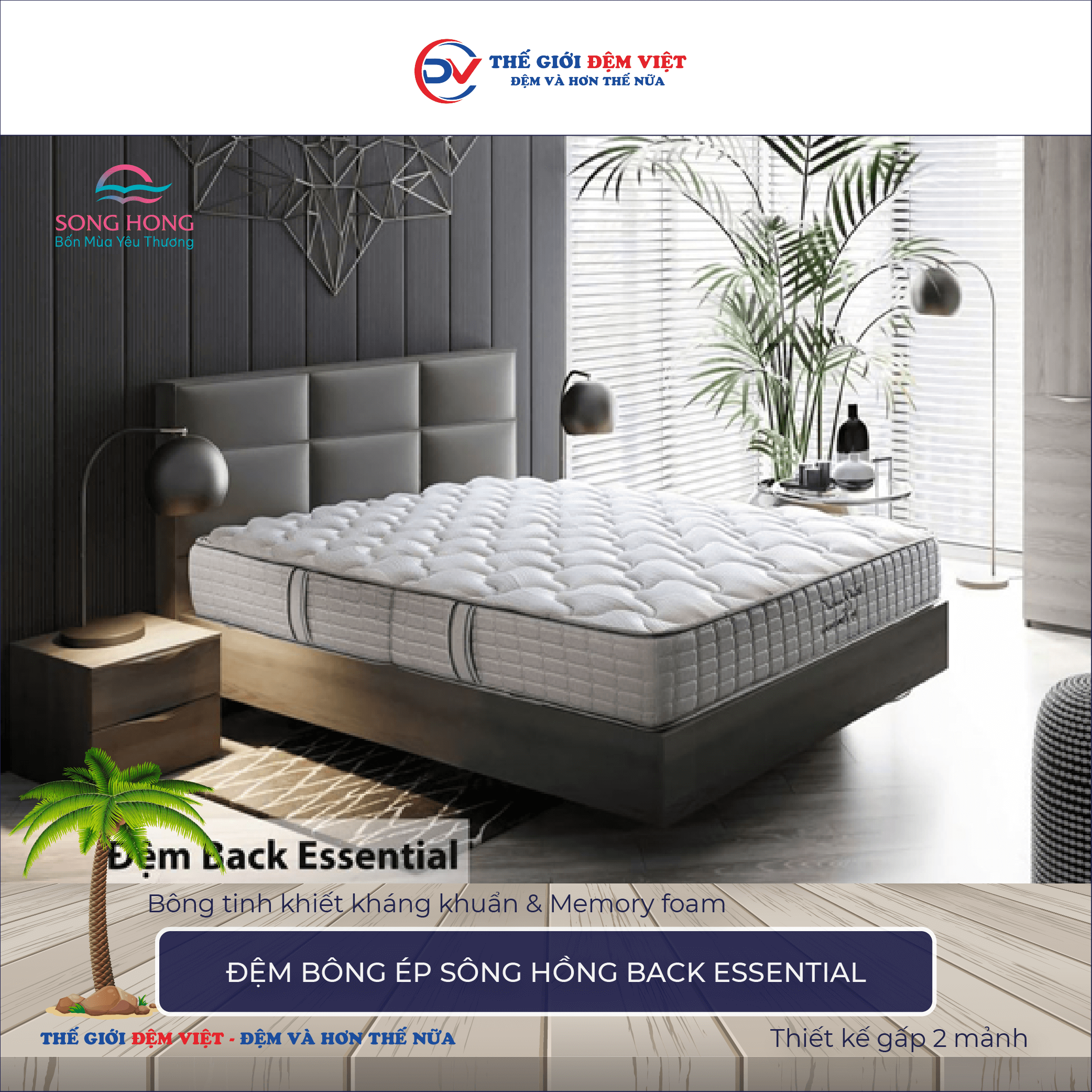 Đệm Sông Hồng Back Essential - Kháng khuẩn - Êm ái